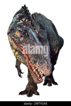 3D rendering of a dinosaur gigantosaurus isolated on white background Stock Photo - Alamy