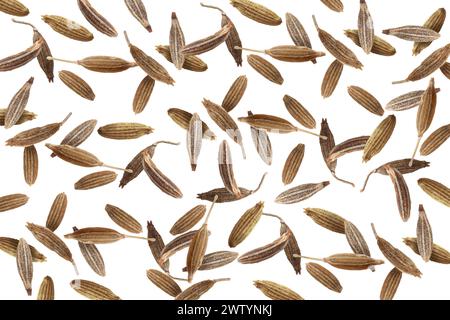 Many cumin seeds falling on white background Stock Photo - Alamy