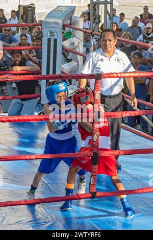 Oaxaca, Mexico - Youth boxing match in the zocalo Stock Photo - Alamy