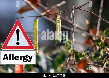 Sign with warning pollen allergy Stock Photo - Alamy
