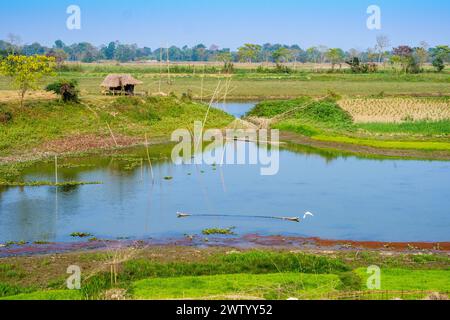 Traditional agriculture on Majuli Island, Assam, India Stock Photo - Alamy