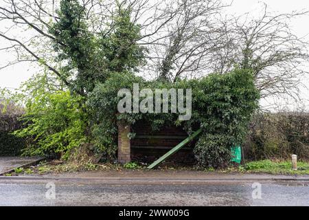 Overgrown bus shelter in the Cheshire countryside UK Stock Photo - Alamy