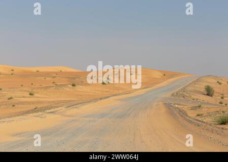 Al Maha Desert Conservation resort, Dubai UAE Stock Photo - Alamy