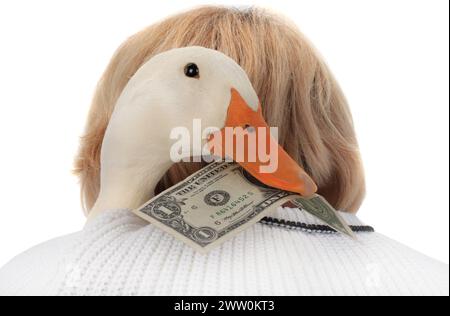 duck with a dollar banknote a white background Stock Photo - Alamy