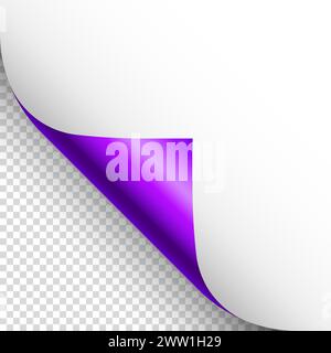 Violet paper curl. Curled page corner with shadow. Blank sheet of paper ...
