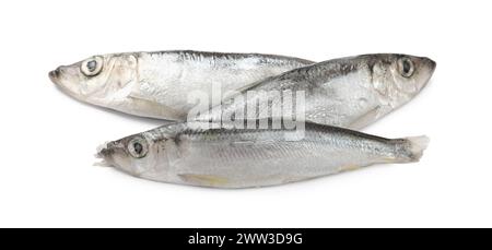 Fresh raw Baltic sprats isolated on white Stock Photo - Alamy
