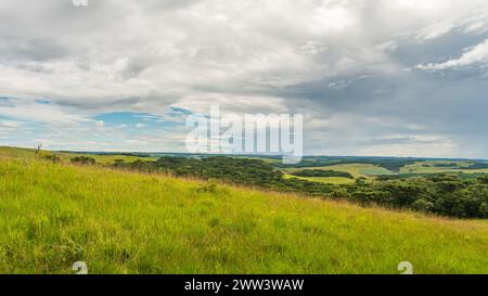 A view of the Brazilian Subtropical Highland Grasslands (Campos de Cima ...