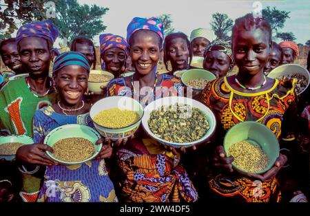 Niger, Balleyara, women from Bella tribe show the harvest of their ...