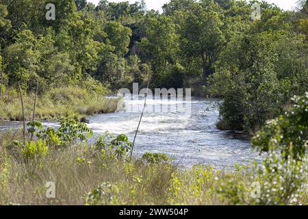 Mineiros, Goias, Brazil - 11 25 2023: wooden bridge over the formoso ...