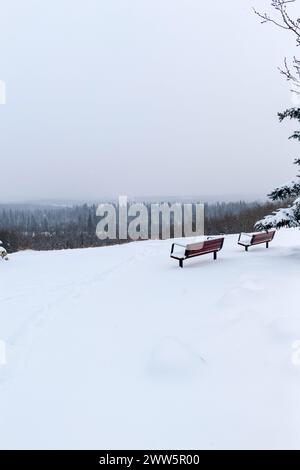 Lonely Park Bench Glenmore Reservoir Viewpoint. Scenic Weaselhead ...