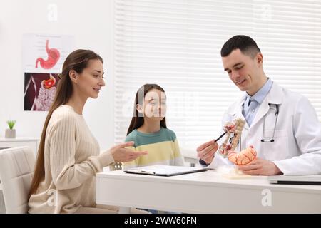 Gastroenterologist with models of stomach and intestine consulting ...