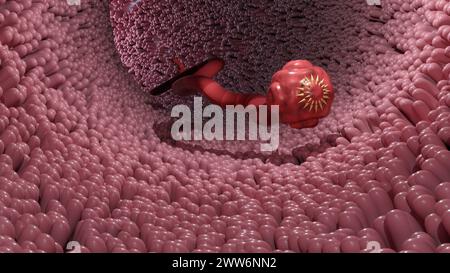 3D Rendering of isolated tapeworm. it is a flat, parasitic worm that ...