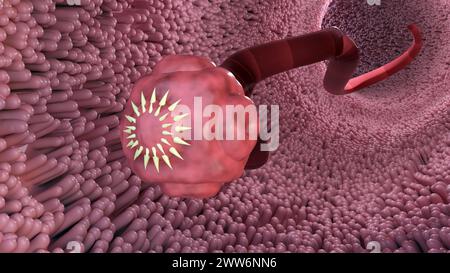3D Rendering of isolated tapeworm. it is a flat, parasitic worm that ...