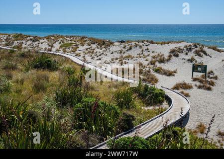 The boardwalk at Ship Creek, near Haast, South Island, New Zealand ...
