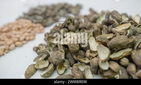 Peanut vegetable in loose grains, portioned and shelled Stock Photo - Alamy