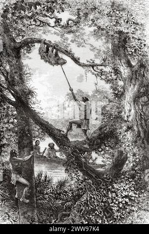 Engraved drawing of the Aboriginal Indians hunting kangaroos, from the ...