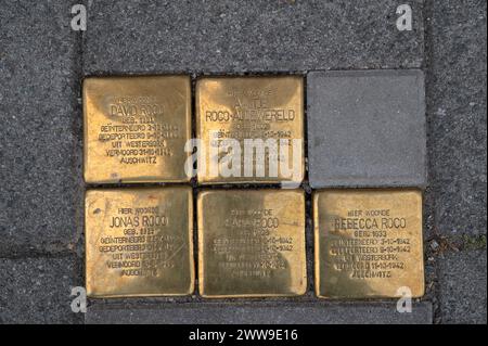 Stolperstein Memorial Stone From David Juda Witjas At Amsterdam The ...