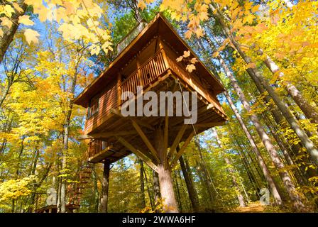 treehouse in forest - Stone Lake, Minnesota - USA Stock Photo - Alamy
