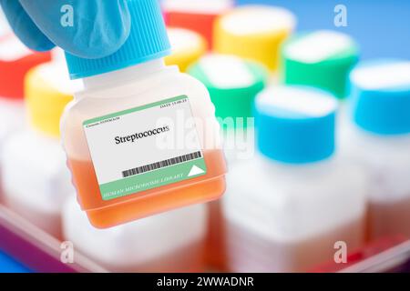 Skin bacteria (such as Staphylococcus and Streptococcus) - these ...