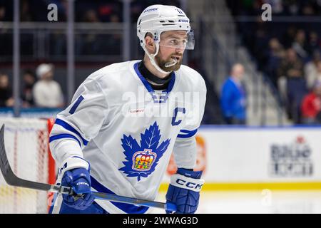 Toronto Marlies forward Logan Shaw (11) lifts the Calder Cup to ...