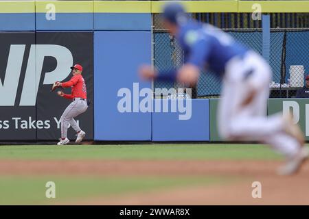 Toronto Blue Jays' Ernie Clement celebrates in the dugout after scoring ...