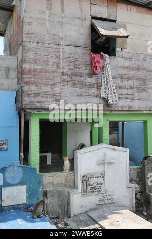 Poor living in Passay Cemetery in Manila-Philippines Stock Photo - Alamy
