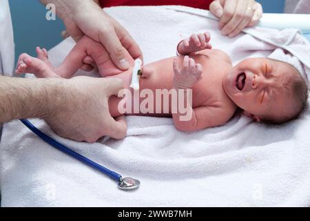 The pediatrician checks the pulses of the femoral arteries Stock Photo ...