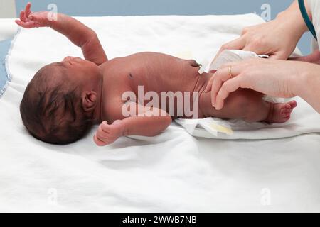 The pediatrician checks the pulses of the femoral arteries Stock Photo ...
