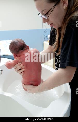 After checking the water temperature, the newborn bathes. Infant toilet ...