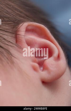 Close-up of a 3-day-old newborn's ear. Baby is 2 days old Stock Photo ...