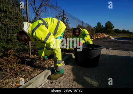 Disabled workers during green space maintenance workshops. These ...
