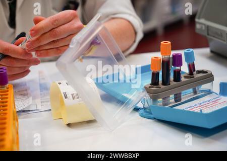 Technical platform of the Inovie 34 laboratory . Hematology tube sorter. NFS, blood count, VS ...