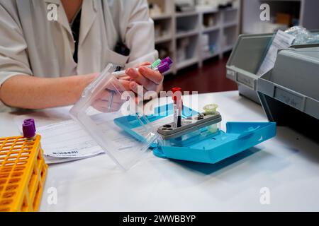 Technical platform of the Inovie 34 laboratory . Hematology tube sorter. NFS, blood count, VS ...