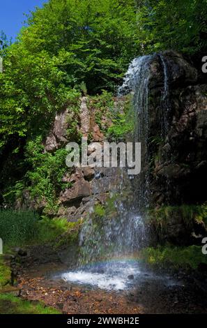 Waterfall in the newly restored Kilfane Glen in County Kilkenny ...