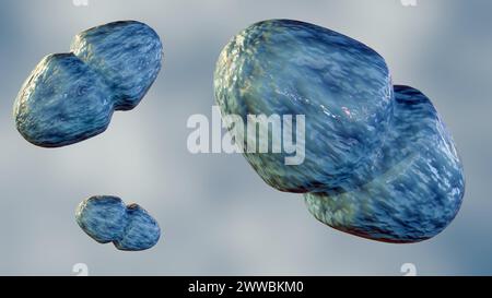 3d rendering of Vancomycin-resistant Enterococcus (VRE) Enterococcus ...
