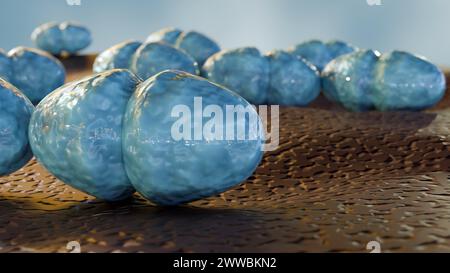 3d rendering of Vancomycin-resistant Enterococcus (VRE) Enterococcus ...