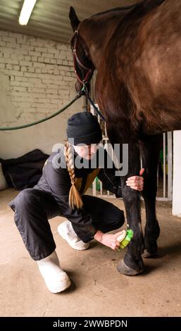 Person brushing horse's legs in stable. Morning care routine Stock ...