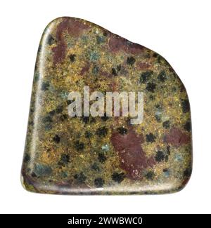 specimen of natural polished epidosite rock cutout on white background ...