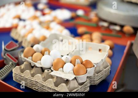 Eggs in modernized sorting shop Stock Photo - Alamy