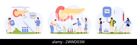 Endocrine system. Insulin function. Pancreas gland hormones secretion ...