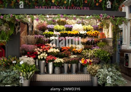 Flower shop, Marylebone Station, City of Westminster, London, UK; Birds ...
