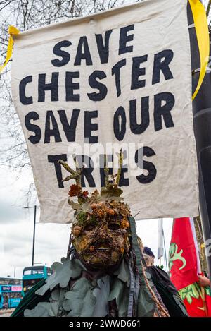 Protest to save a London Plane tree in Southend on Sea, Essex, UK. Sign ...