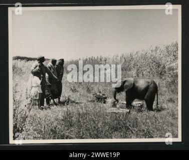 Description: Return of Chief Mkwawa's skull to Tangangika and other ...