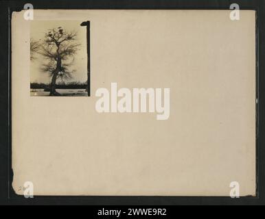 Description: Igarra africa Stock Photo - Alamy