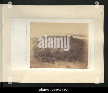 Photograph of trees from the lower entrance of Belvoir, Zurich, taken ...