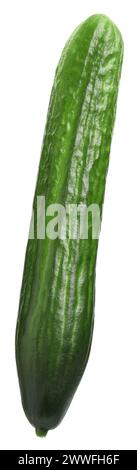One long fresh cucumber isolated on white Stock Photo - Alamy