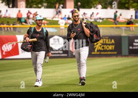 Arizona Diamondbacks third baseman Blaze Alexander (9) in the eighth ...