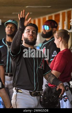 Arizona Diamondbacks catcher Jose Herrera (11) in the third inning of a ...