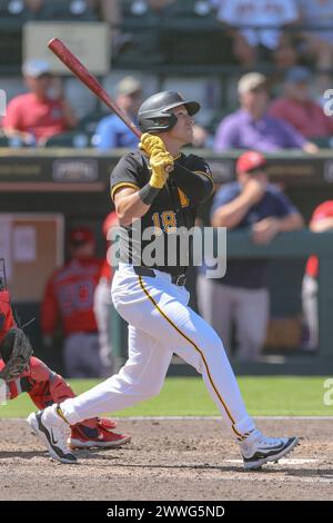 Bradenton, FL: Pittsburgh Pirates first base Darick Hall (45) homers to ...