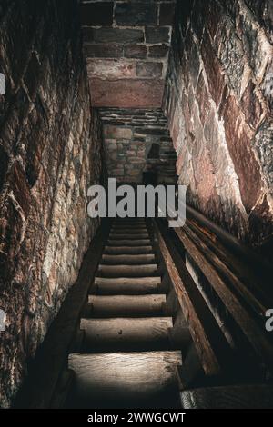 A narrow, dimly lit stone corridor lined with heavy iron prison doors ...